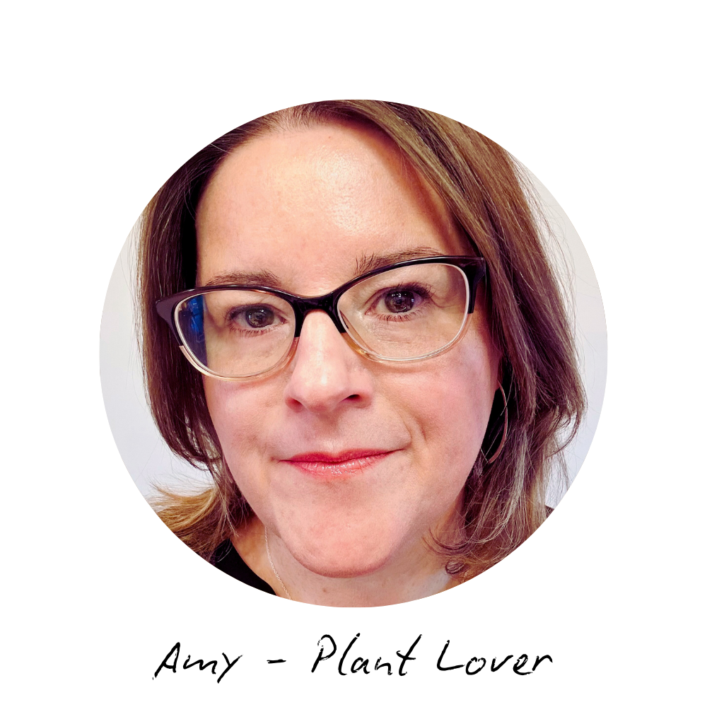 Plant and Bloom Design Studio - A Landscape Designer’s Blog