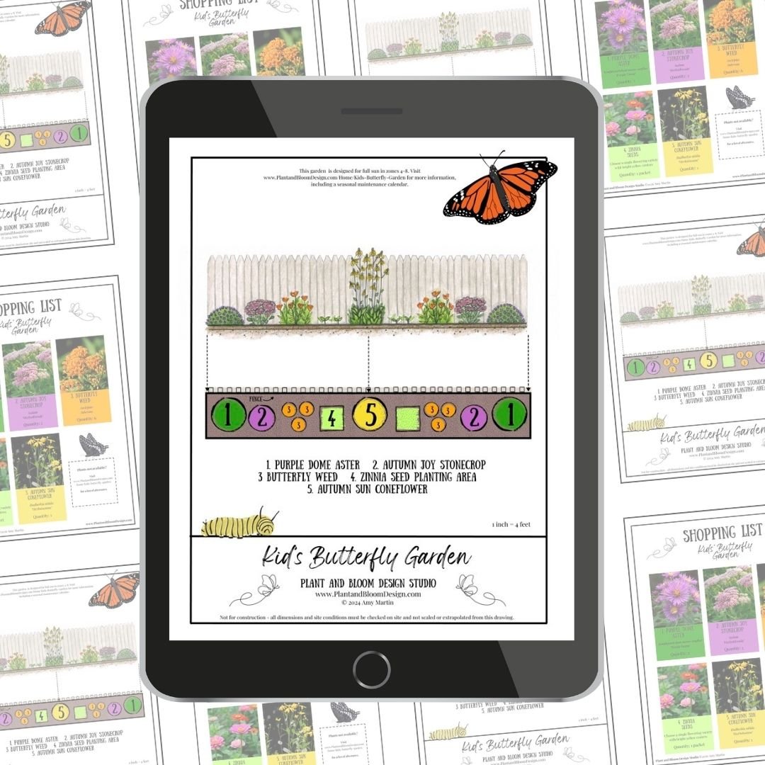 Butterfly Garden for Kids — Plant and Bloom Design Studio