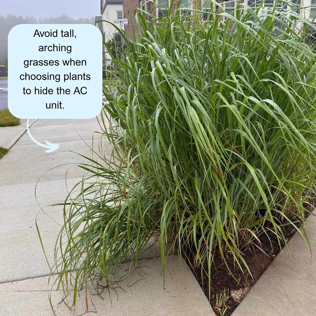 10 Plants to Hide AC Unit — Plant and Bloom Design Studio