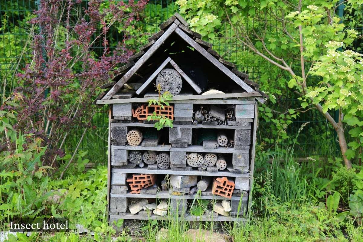 Insect Hotels for the Garden — Plant and Bloom Design Studio