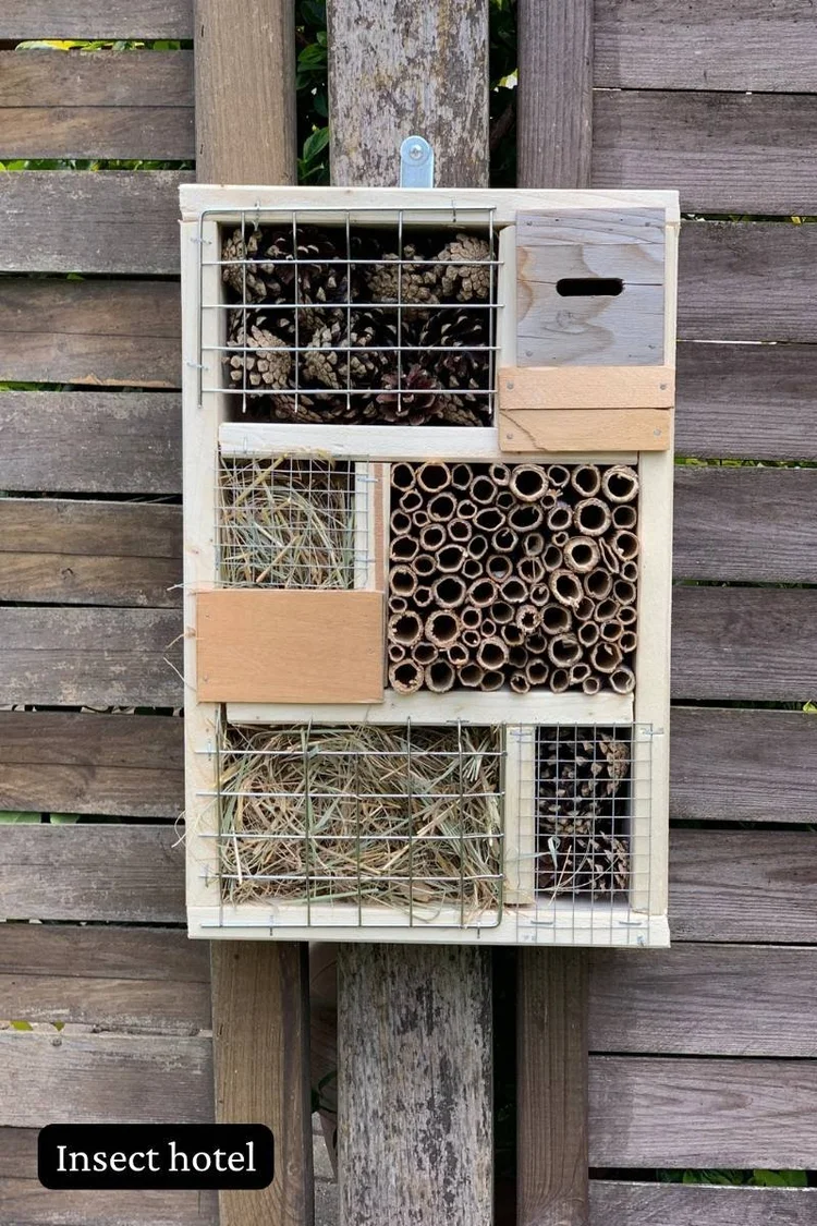 Insect Hotels for the Garden — Plant and Bloom Design Studio