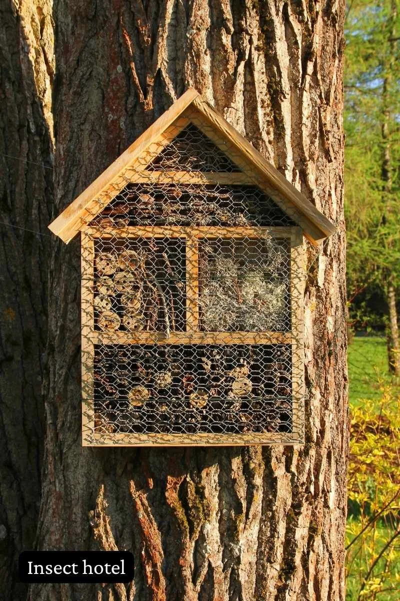 Insect Hotels for the Garden — Plant and Bloom Design Studio