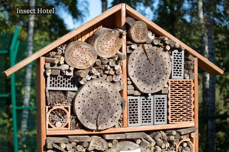 Insect Hotels for the Garden — Plant and Bloom Design Studio