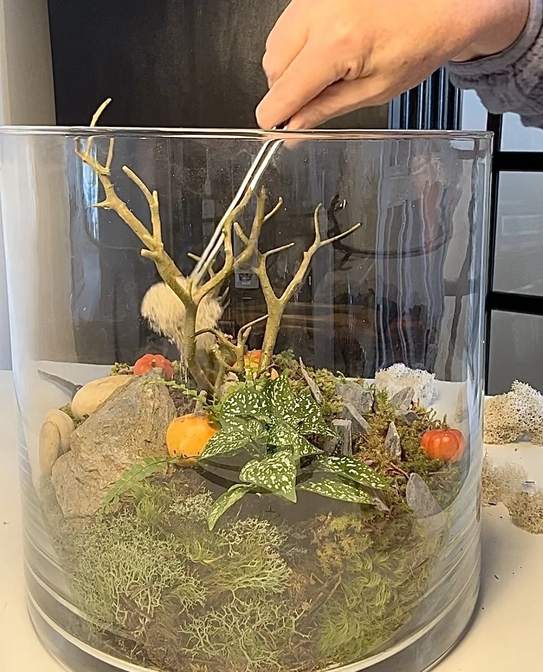 Open Halloween Terrarium - The Most Frightful Halloween Decoration with ...