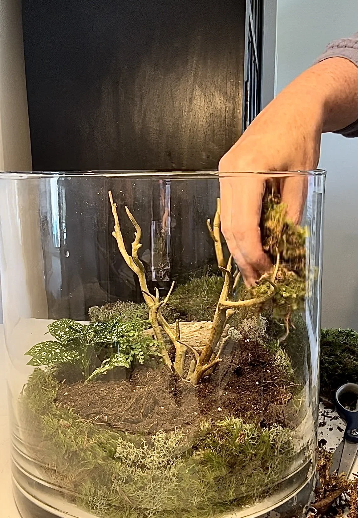 Open Halloween Terrarium - The Most Frightful Halloween Decoration with ...