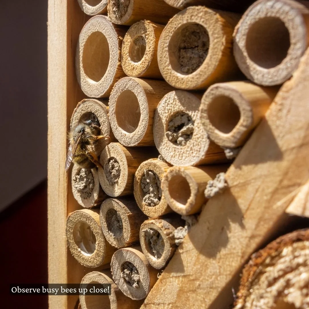 Insect Hotels for the Garden — Plant and Bloom Design Studio