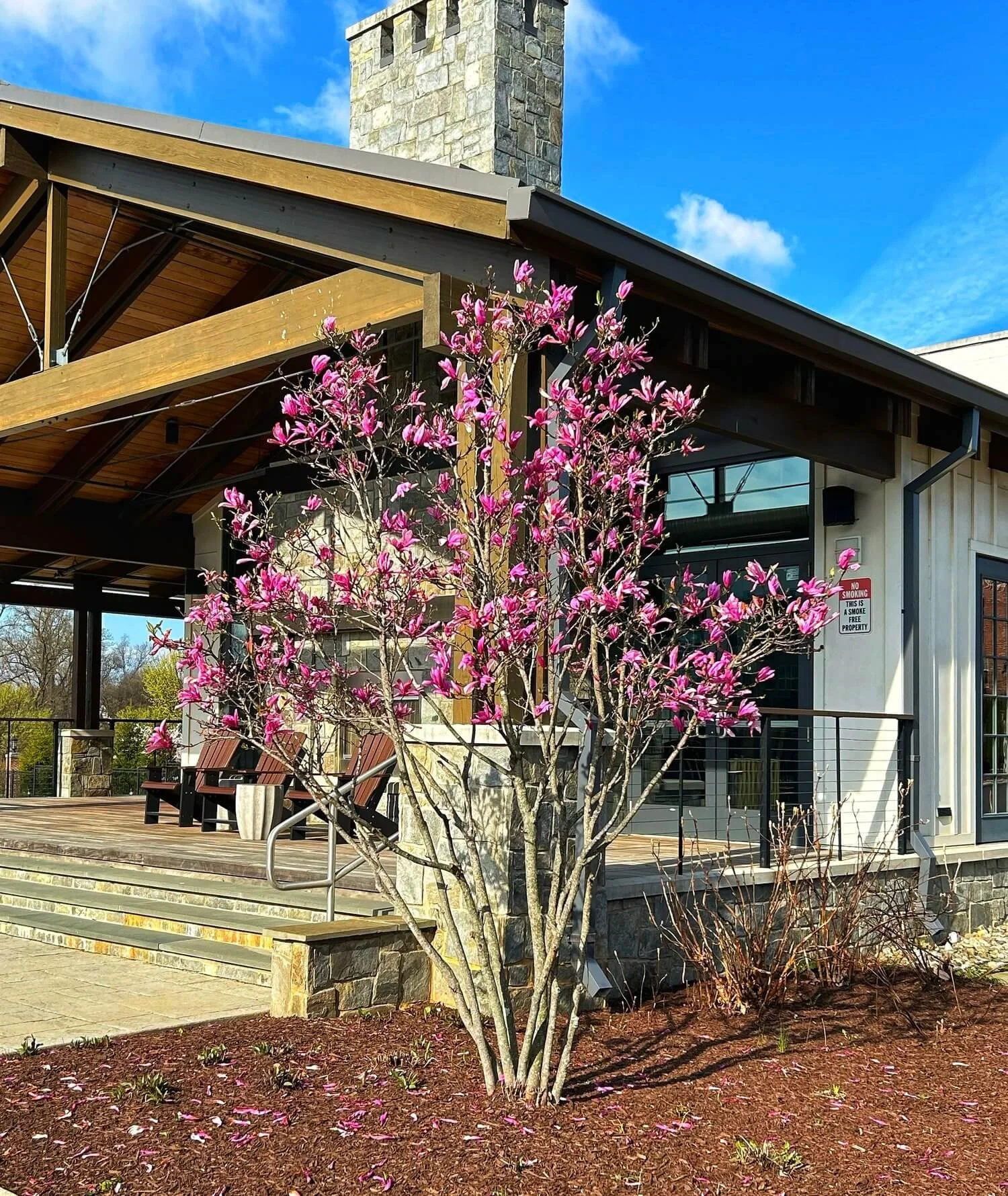 #Gardengoals Achieved with these 5 High Impact, Low-Maintenance Trees ...