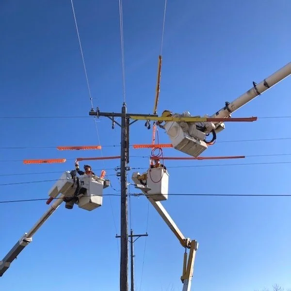 Services 4 — Elite Powerline