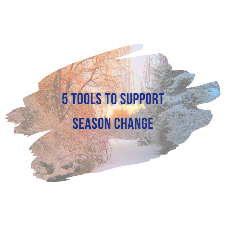 5 Tools to Support Season Change | Interfaith Bridge Counseling, PLLC