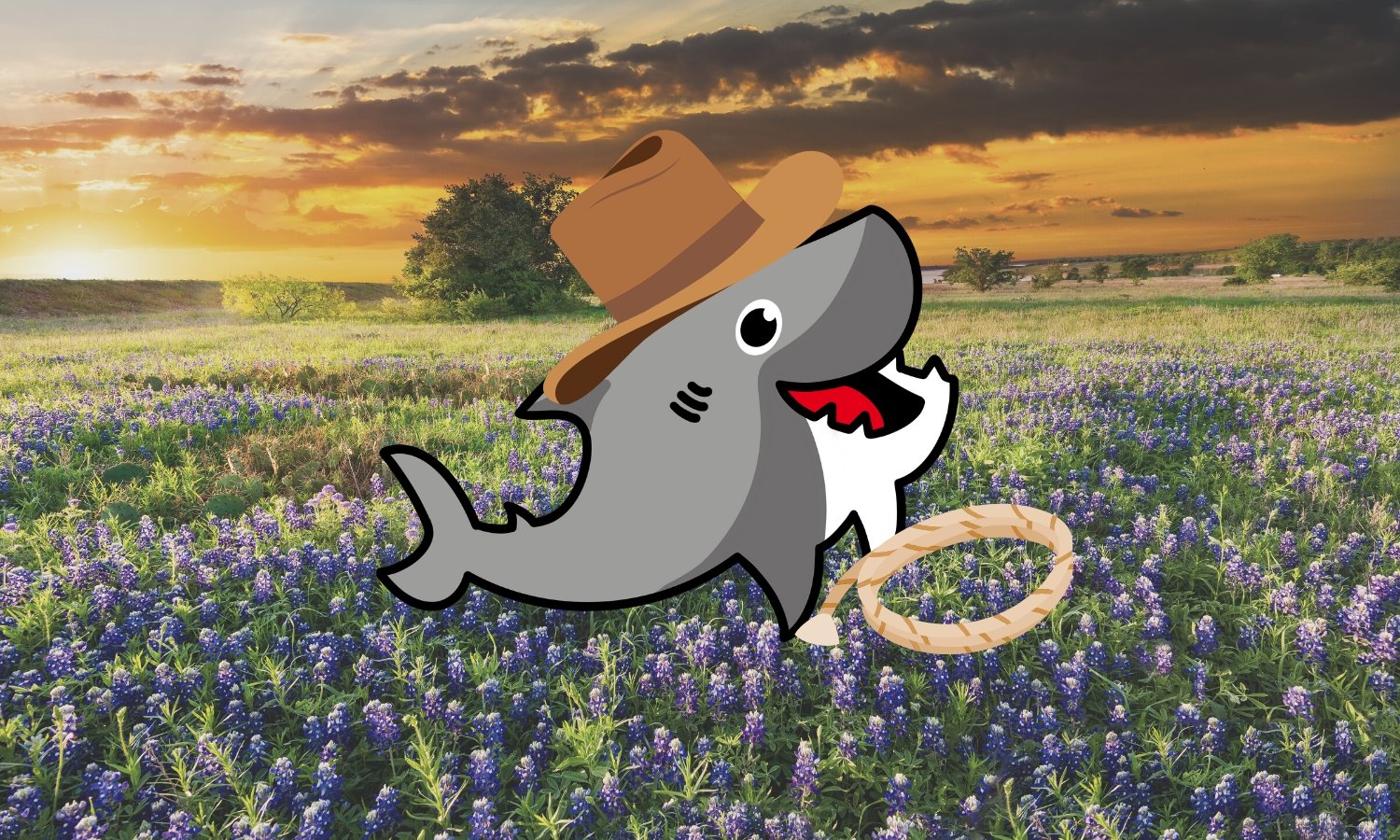 All Locations — Uncle Sharkii Poke Bar® | Official Wesbite
