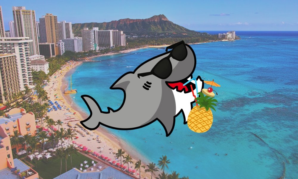 All Locations — Uncle Sharkii Poke Bar® | Official Wesbite