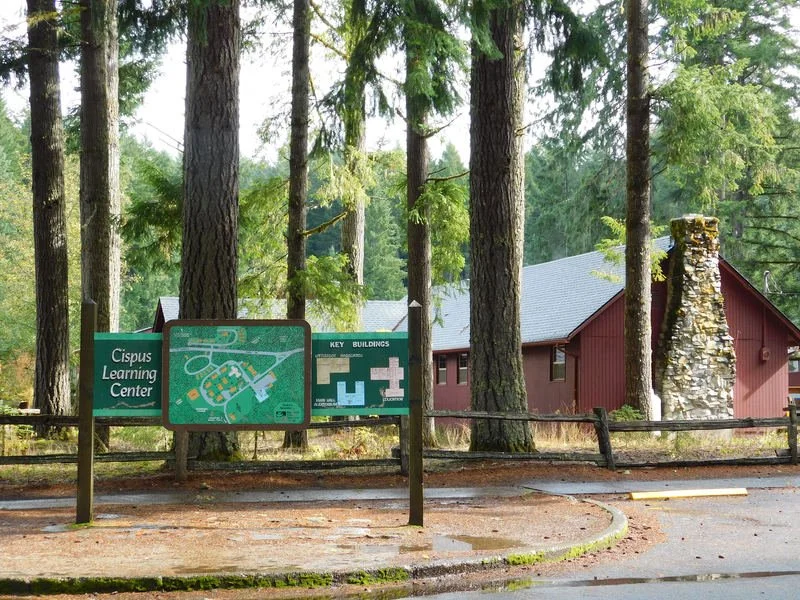 The Cispus Experience — Mt Rainier Leadership