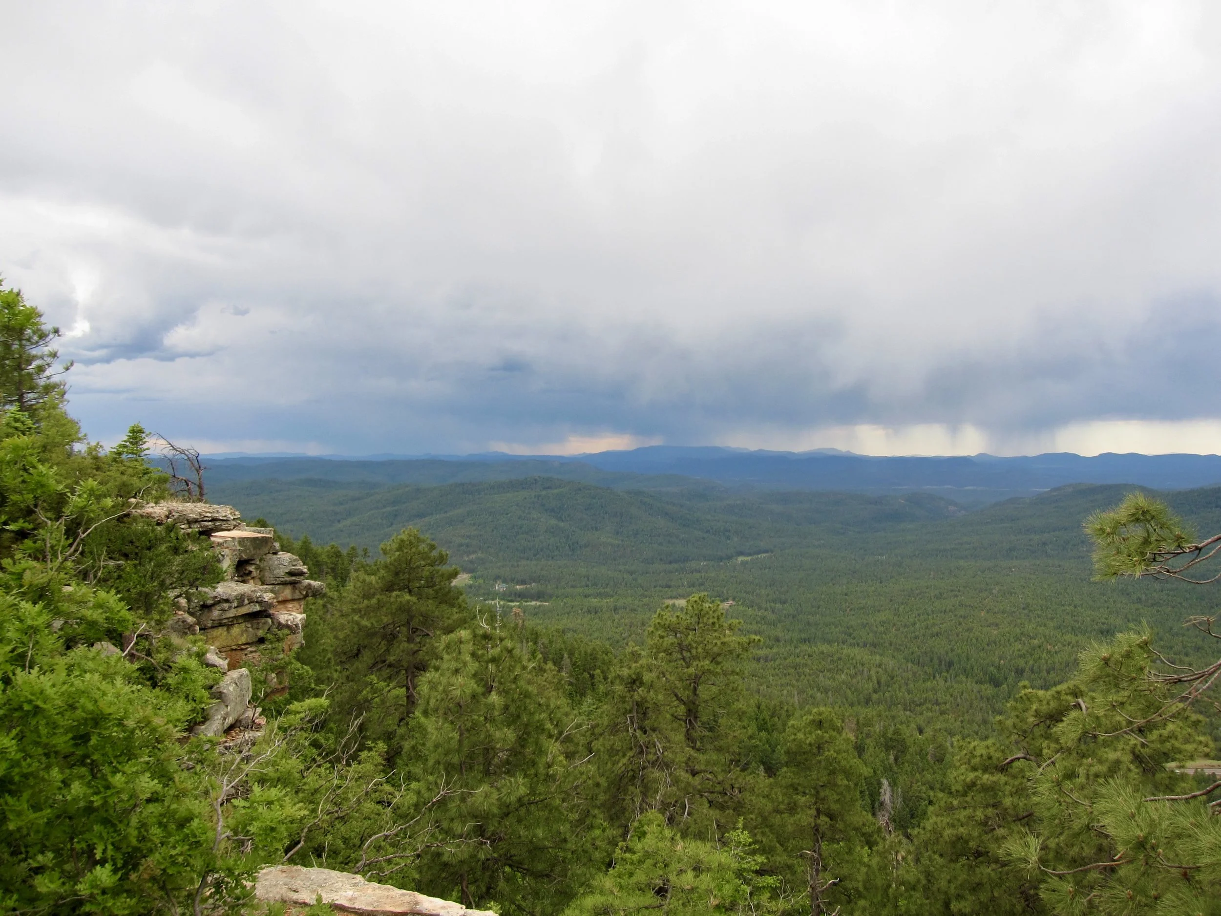 About — Calico Springs Studio