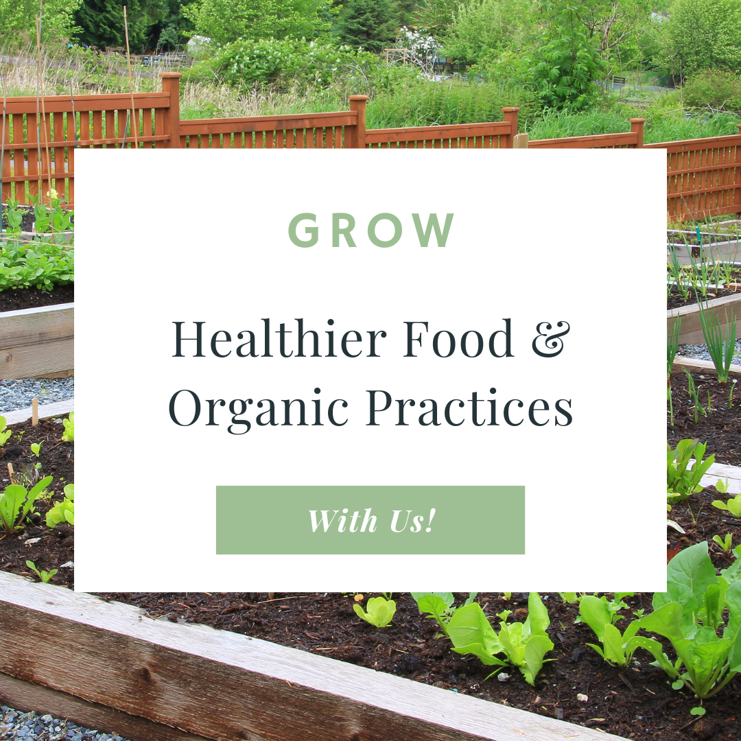 OHBA | Organic Educators