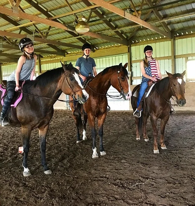 Lessons — Oak Top Hill Horse Farm