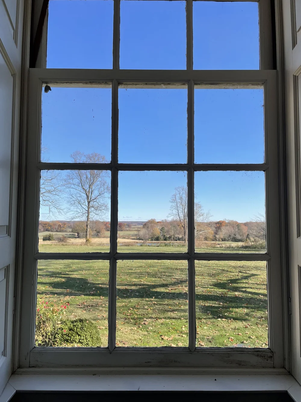 History — Blandfield