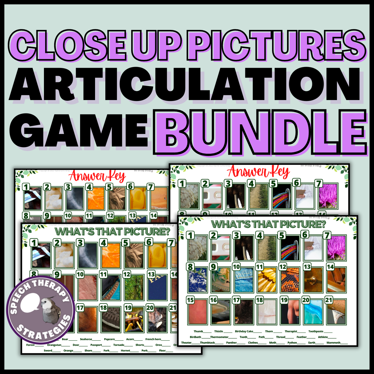 R, S, Z, TH Sounds Articulation Carryover Games "Close-Up Pictures ...