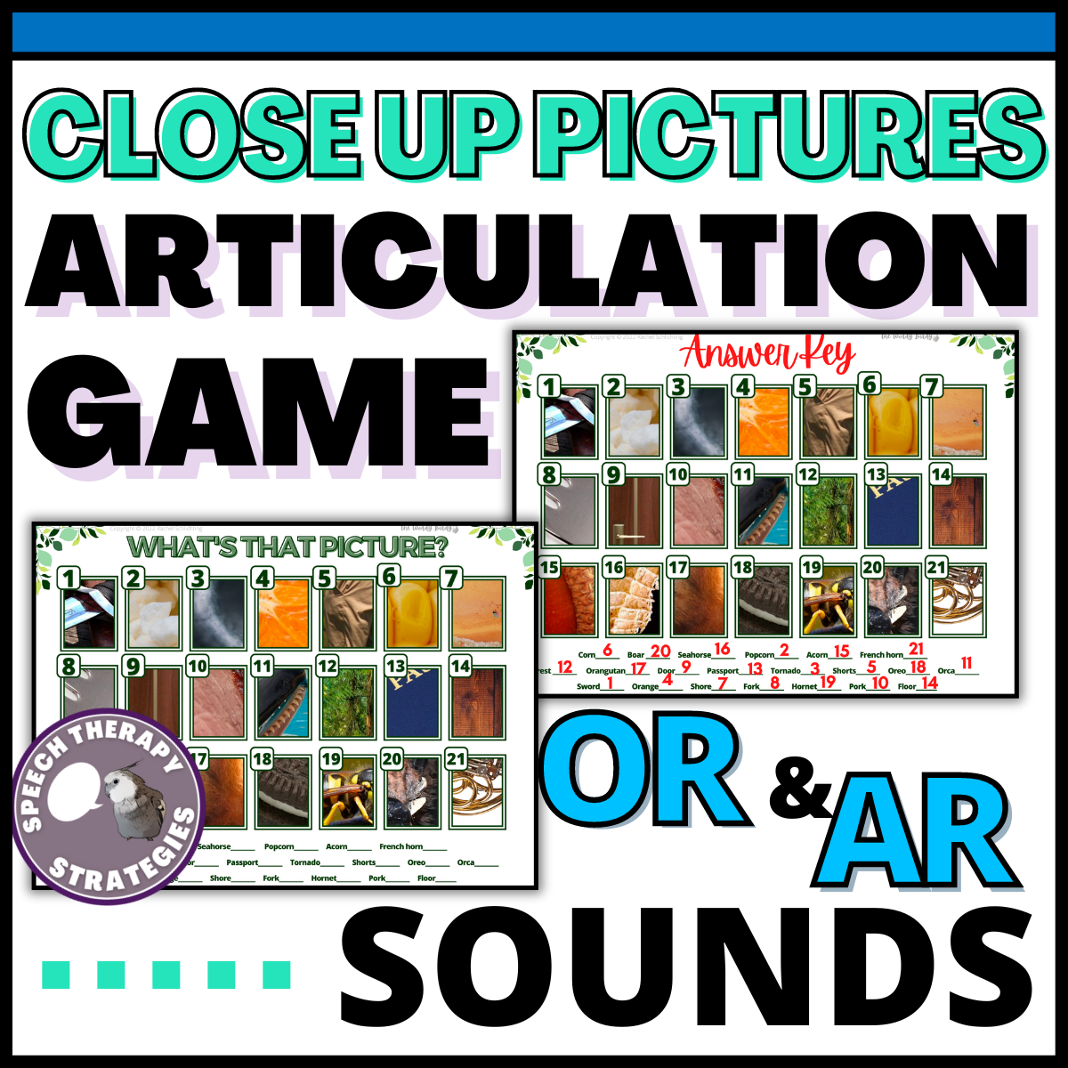 Vocalic R Sounds Articulation Carryover Game "Close Up Pictures ...