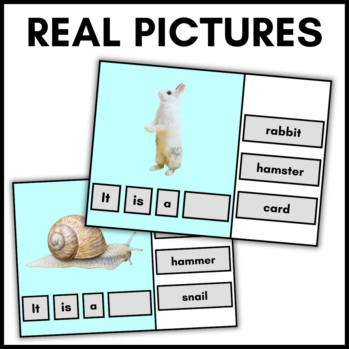 MLU Expanding Utterances: "It is a" Phrases to Label Animals | PDF ...
