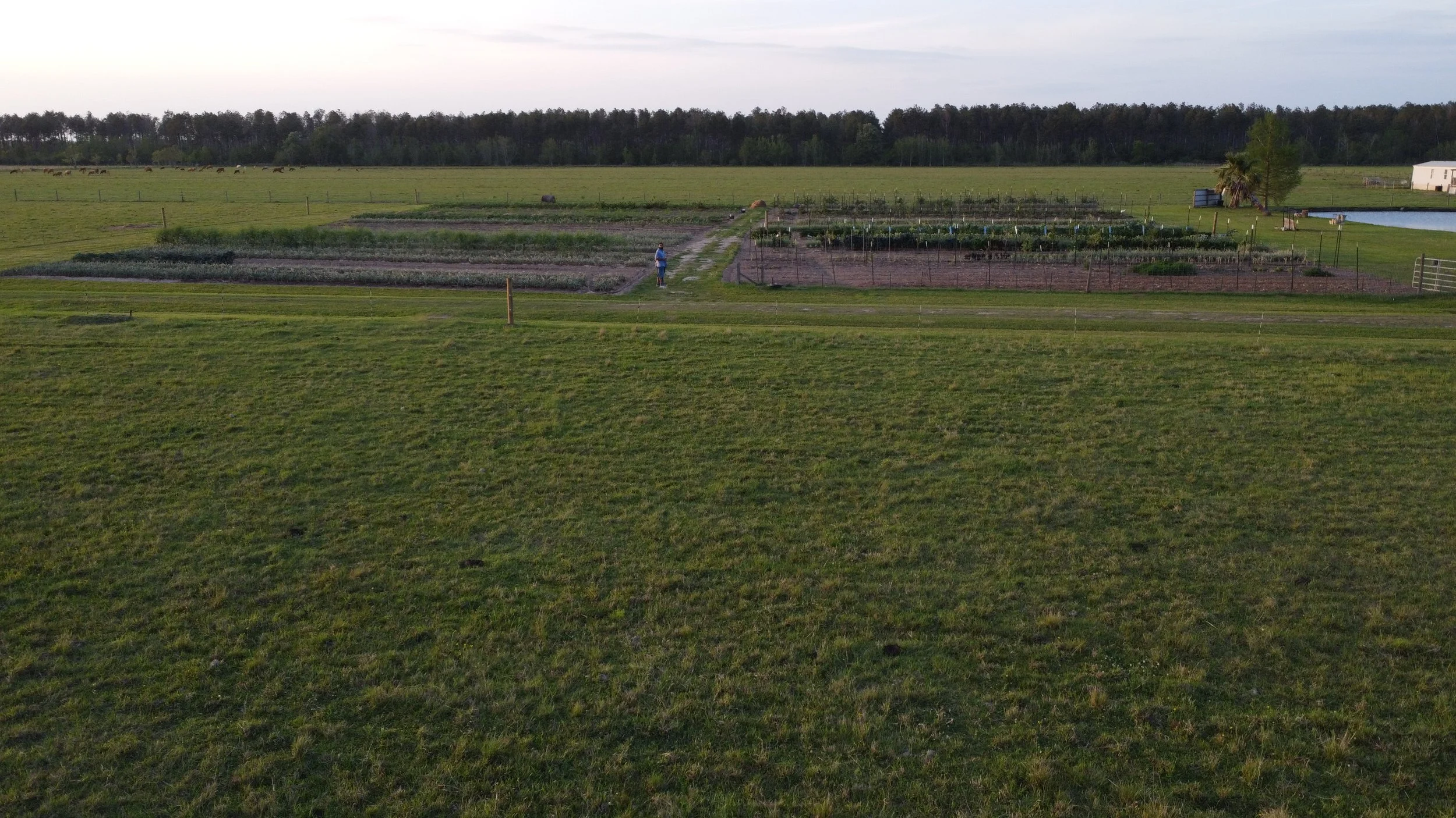 Products | Organically-Raised Beef & Poultry | Farm Fresh Eggs ...