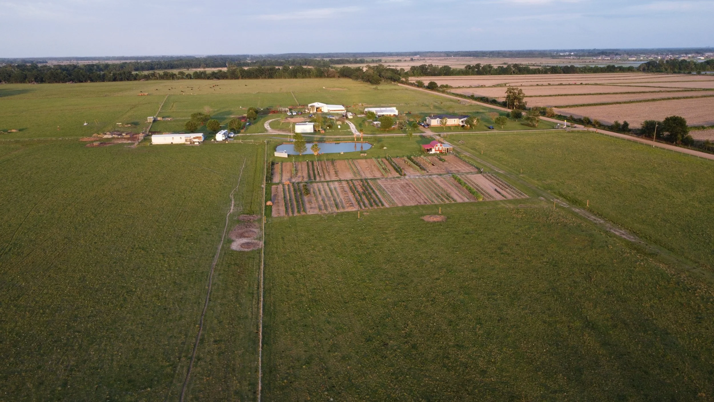 Driftwood Farm | Organically Raised Beef & Poultry | Fresh Eggs ...