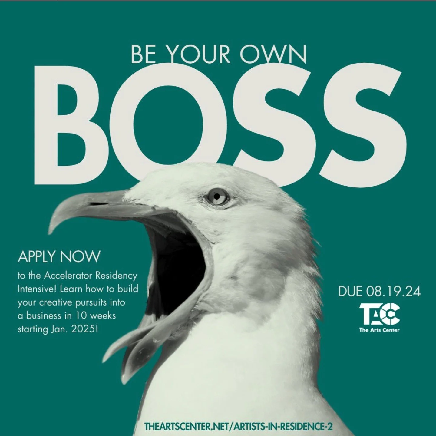 About — Corvallis Fall Festival