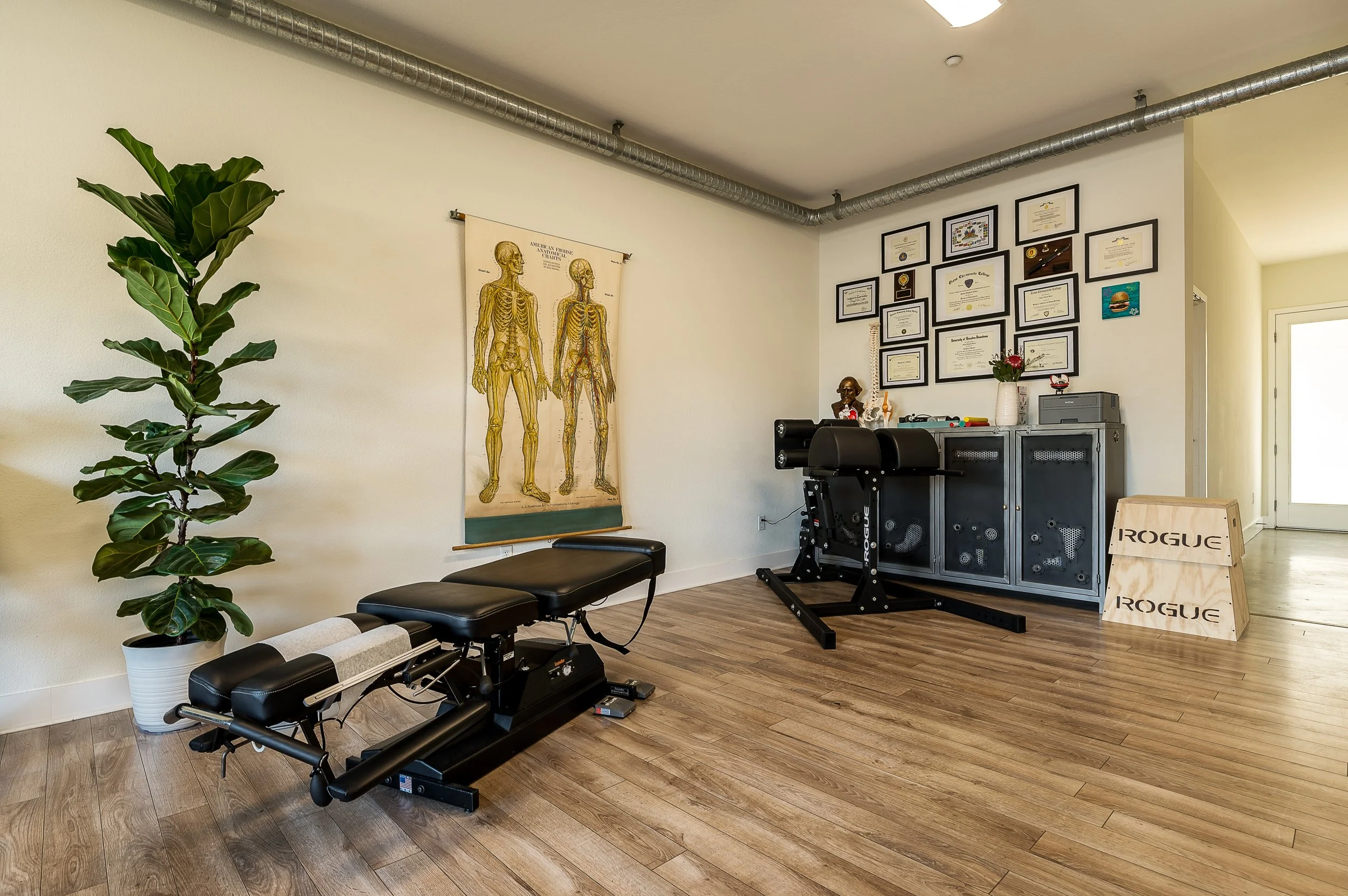 Carlsbad Chiropractor - Structure