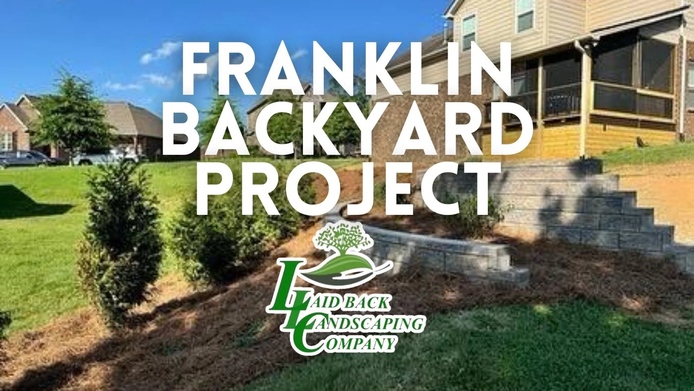 Summer Project Showcase: Transforming a Backyard in Franklin — Laid ...