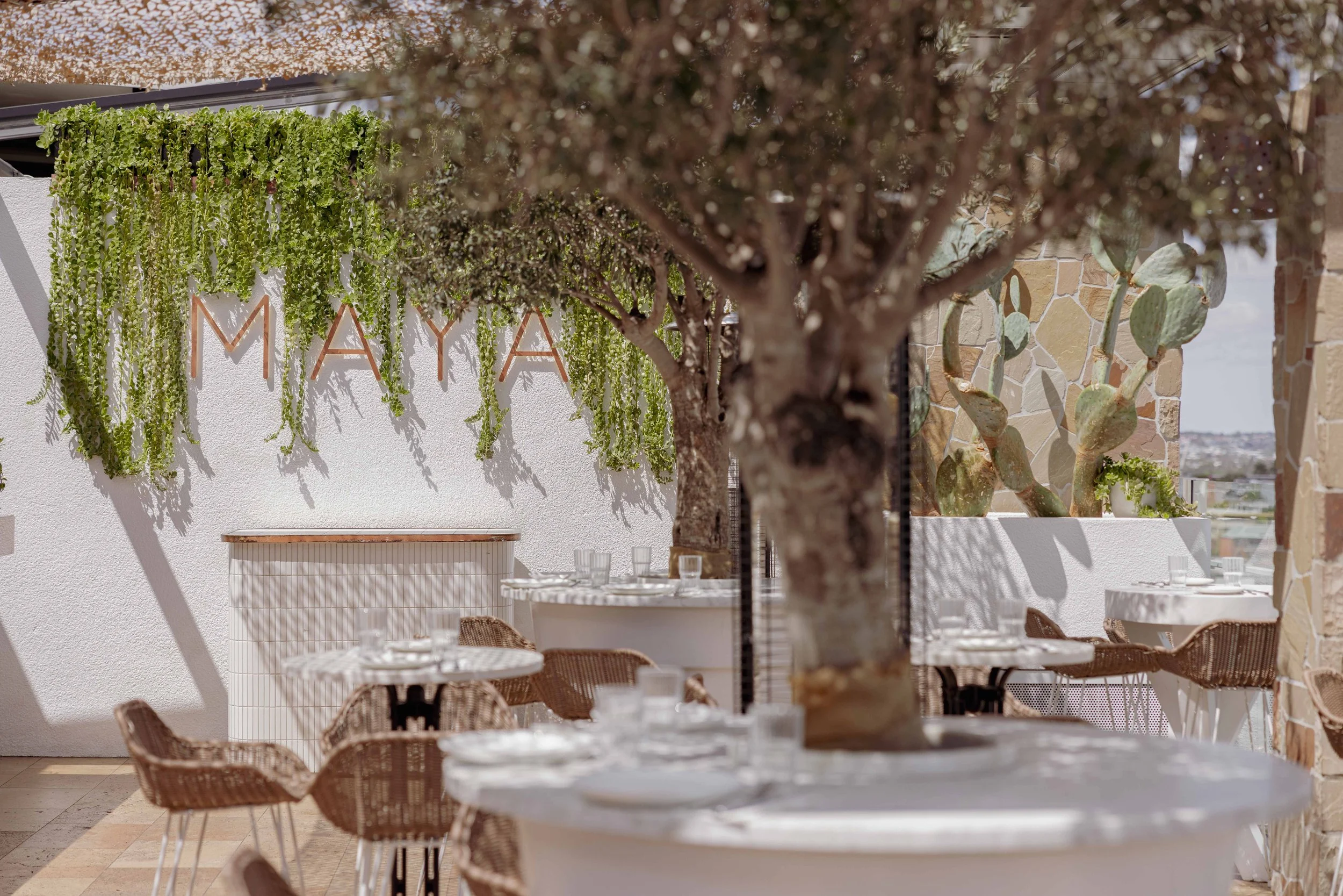 Brisbane Function Venue & Rooftop Bar — MAYA Mexican Website