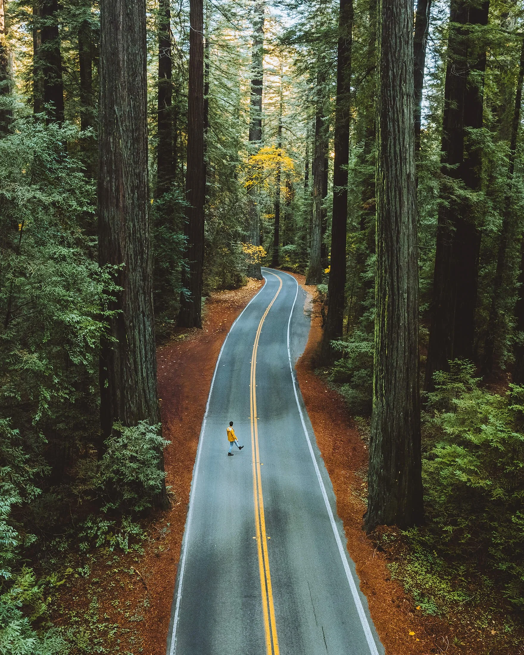 Jhamil Bader | Commercial Photography | Brand Strategy | Portland, Oregon