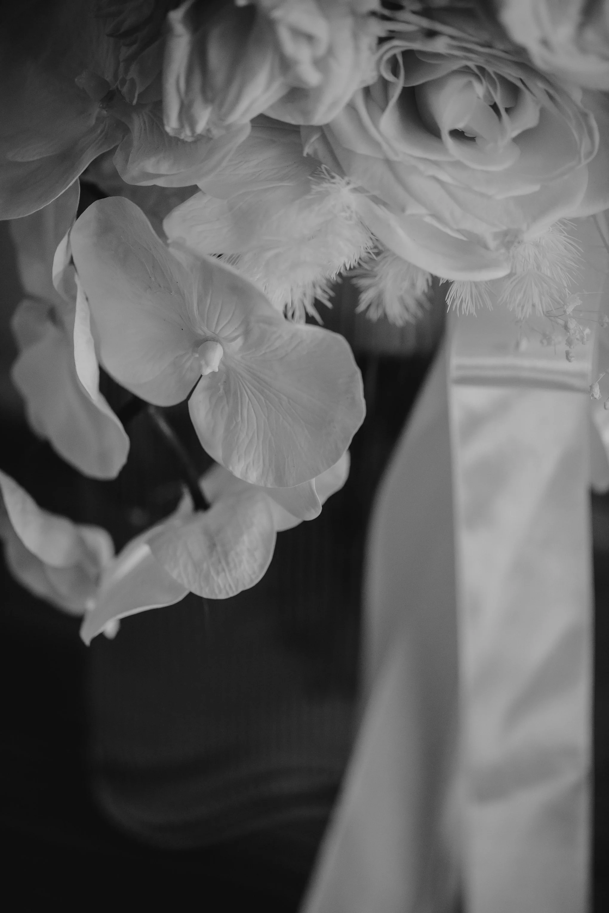 Christina Vandy | New Zealand Wedding Photographer
