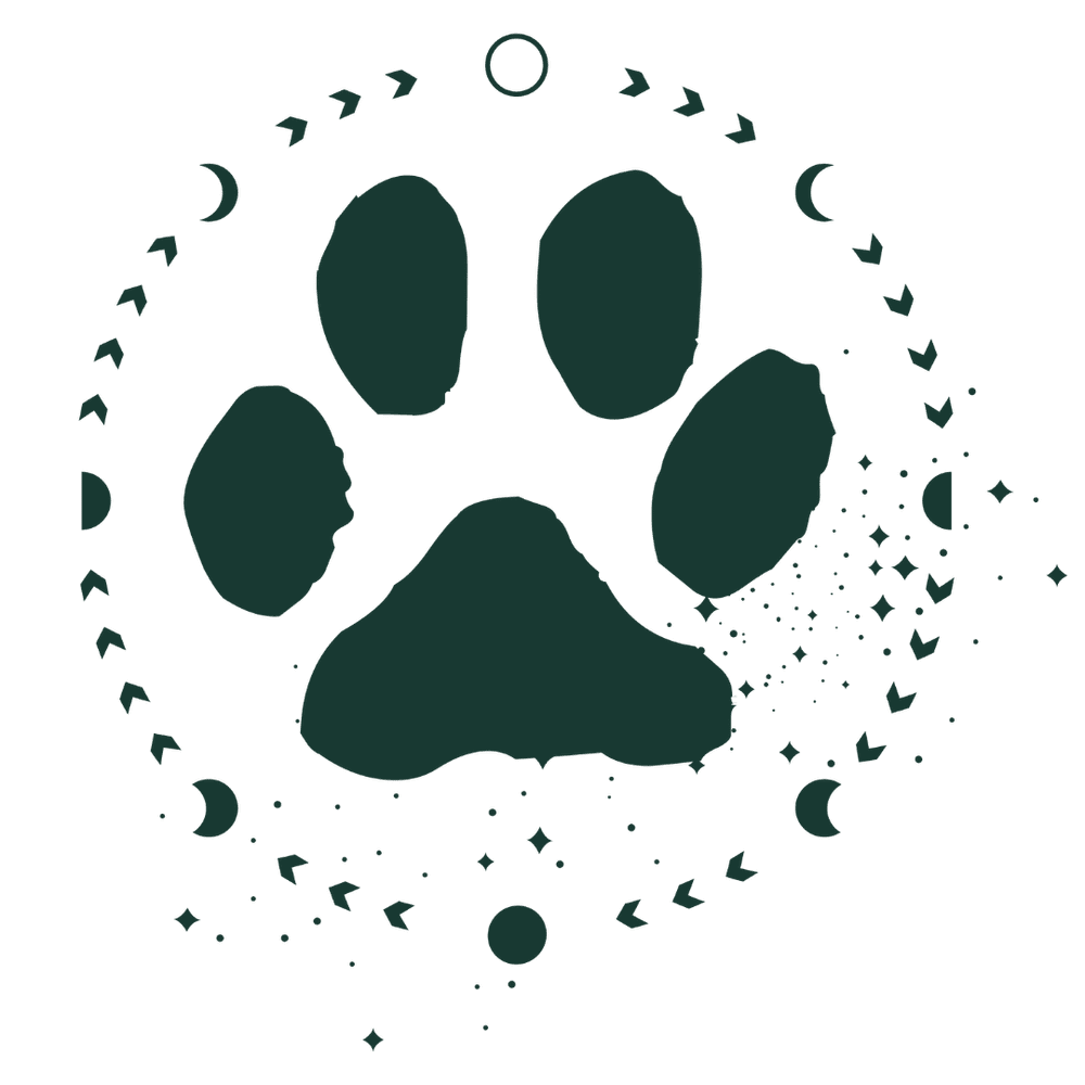 Internationally Award Winning Seattle-Tacoma Pet Photographer