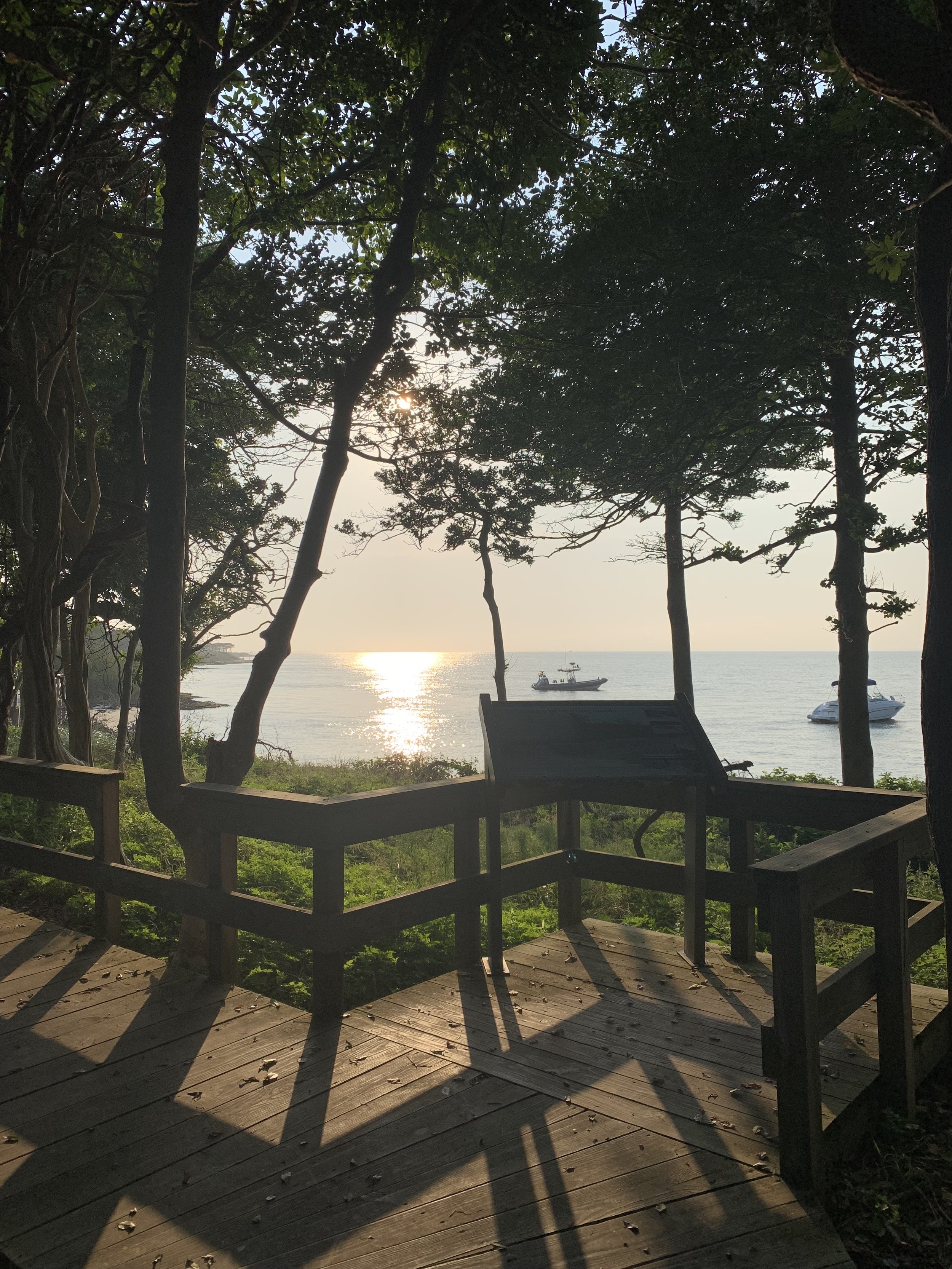 The Ultimate Fire Island Travel Guide ⋮ EVERLASTYING