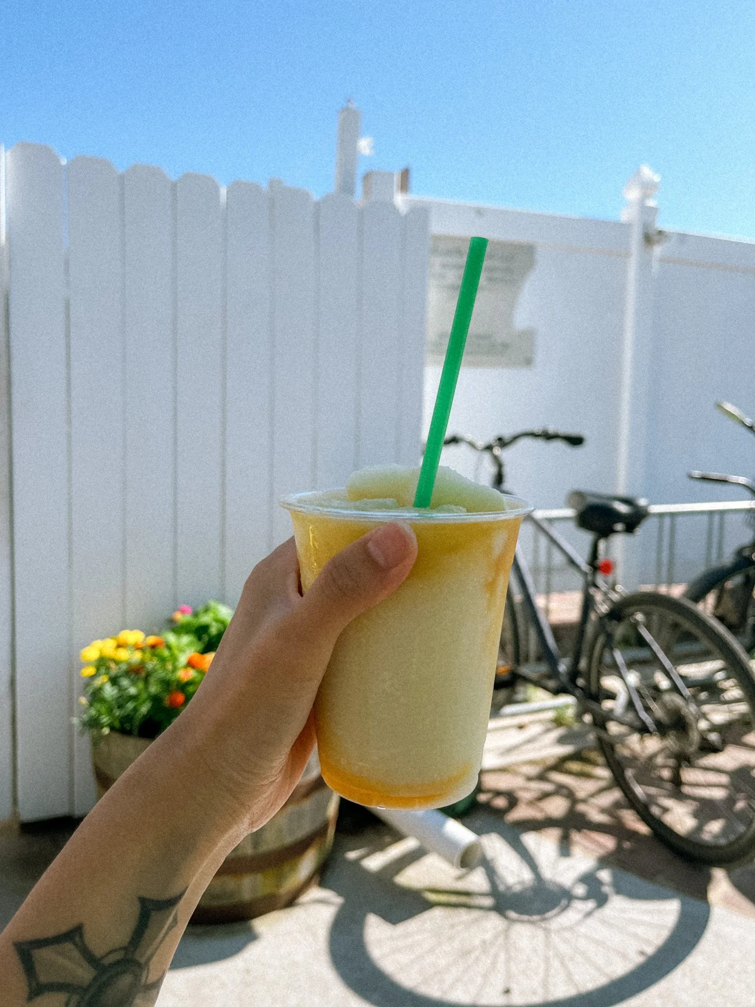 The Ultimate Fire Island Bucket List ⋮ EVERLASTYING
