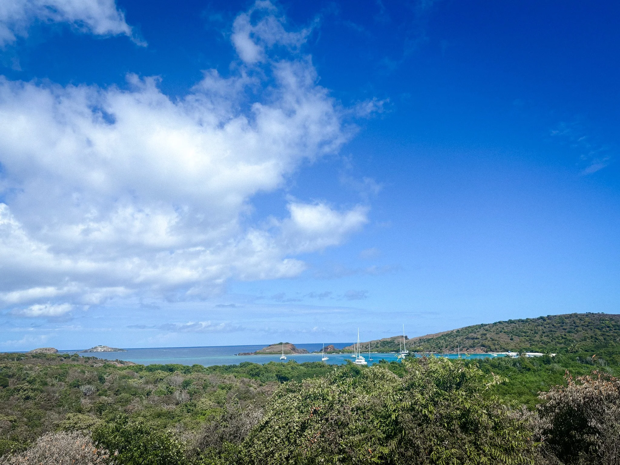 Culebrita, Puerto Rico Island Guide ⋮ EVERLASTYING