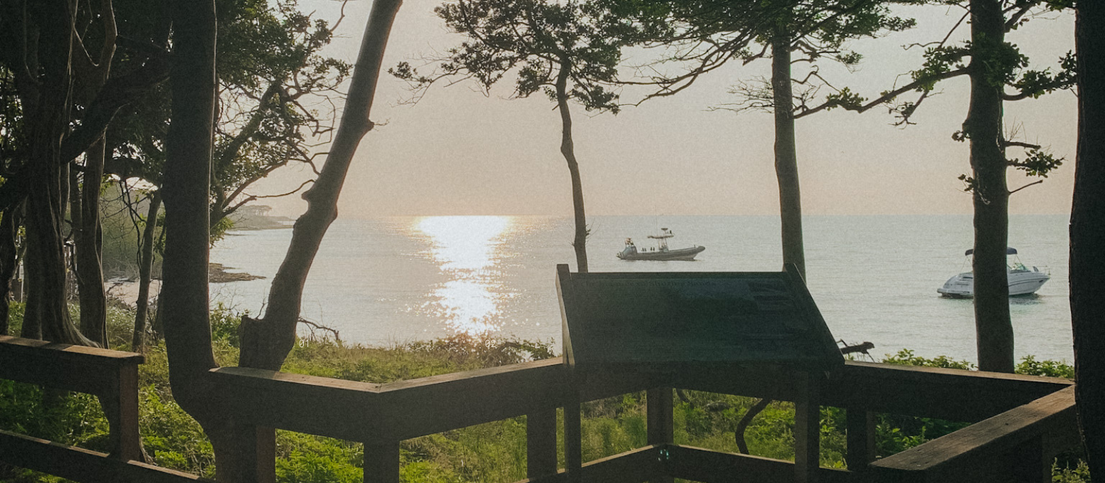 The Ultimate Fire Island Bucket List ⋮ EVERLASTYING