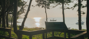 The Ultimate Fire Island Bucket List ⋮ EVERLASTYING