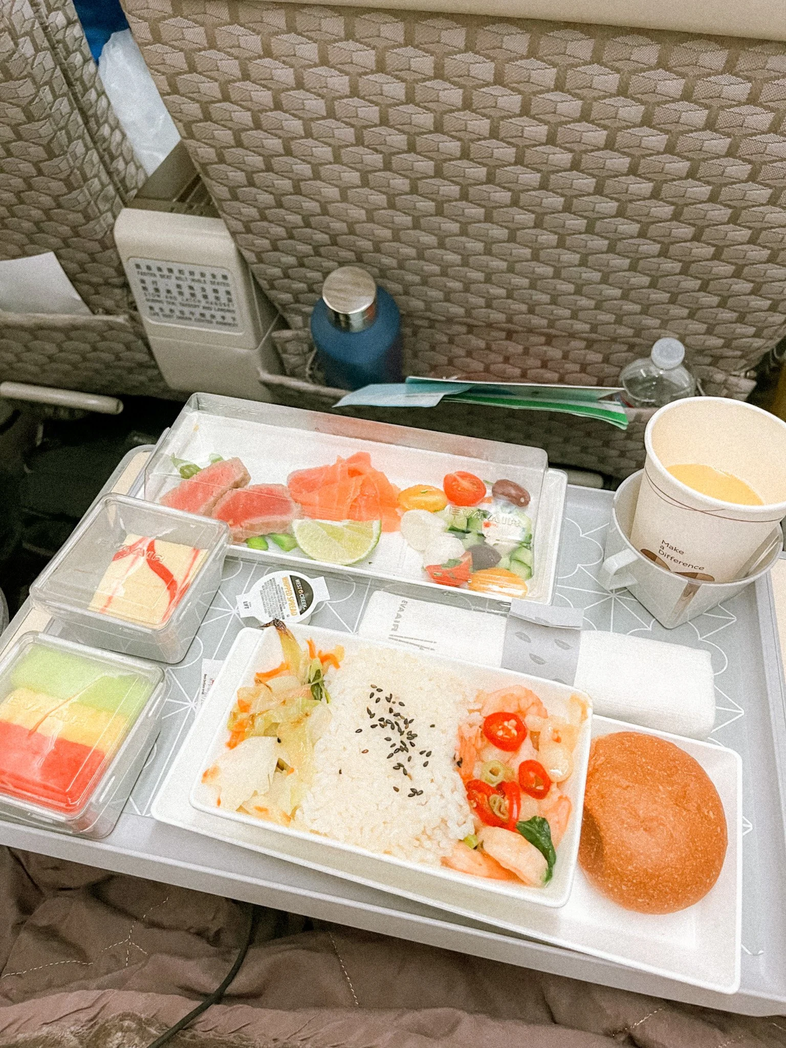 REVIEW: Is EVA Air's Premium Economy Worth Upgrading? | EVERLASTYING