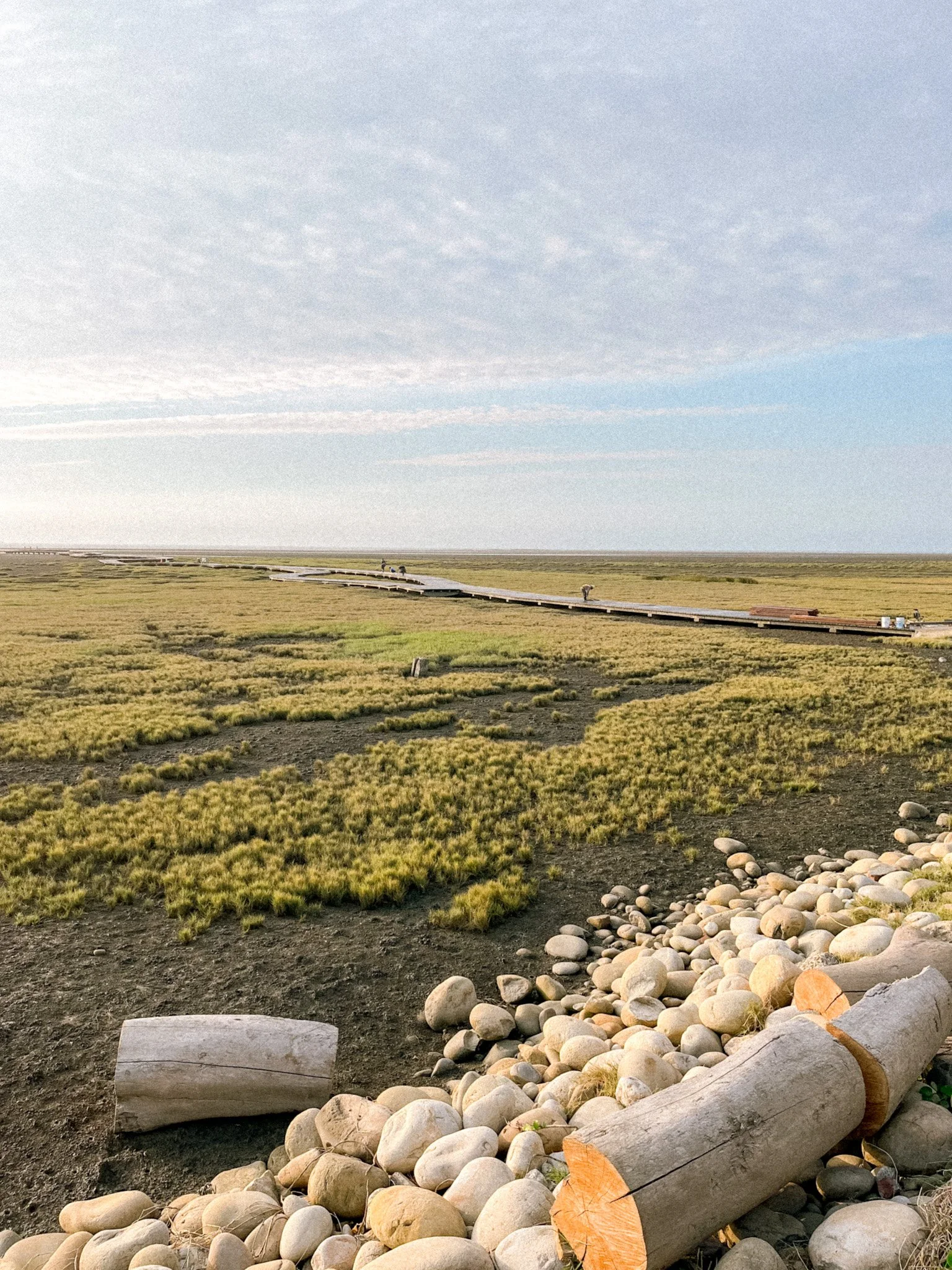 Gaomei Wetlands Guide ⋮ EVERLASTYING