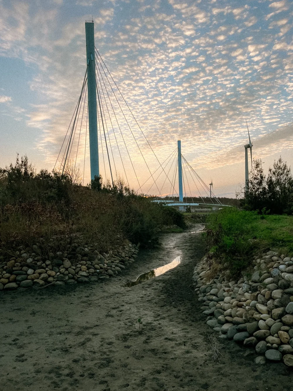 Gaomei Wetlands Guide ⋮ EVERLASTYING