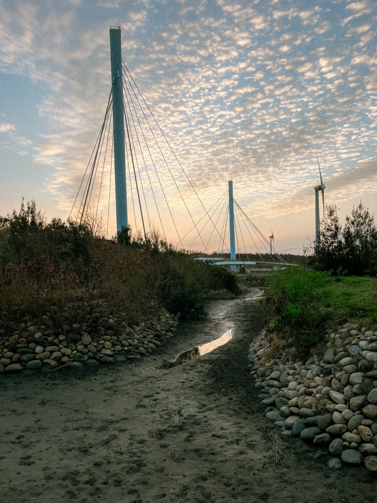 Gaomei Wetlands Guide ⋮ EVERLASTYING