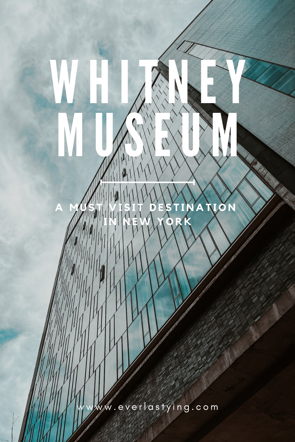 Whitney Museum Logo