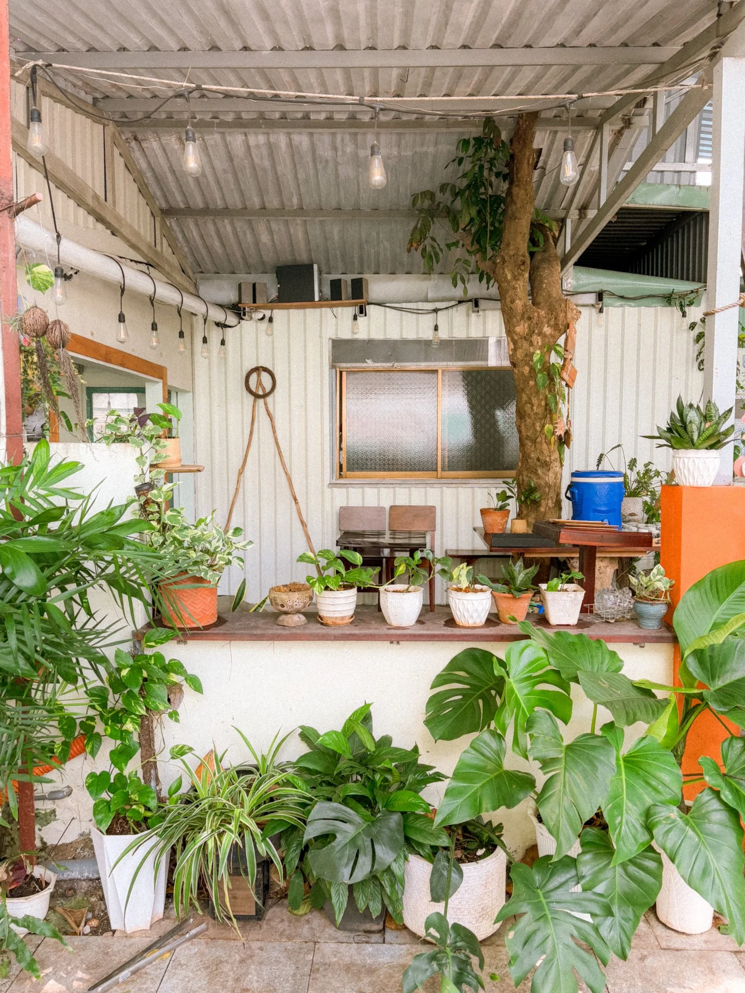 An Ơi Cafe & Restaurant in Con Dao, Vietnam ⋮ EVERLASTYING