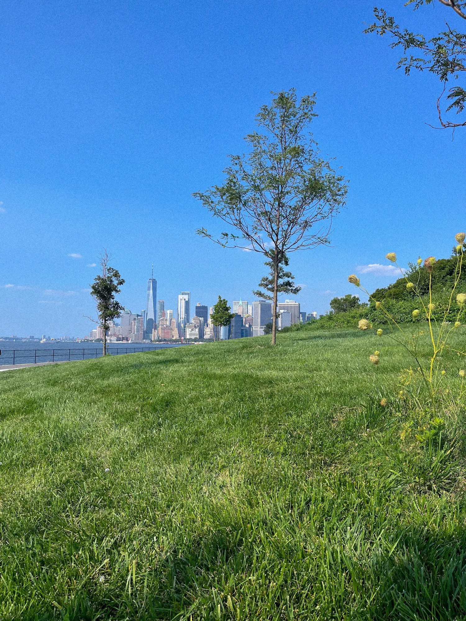 Governors Island NYC Guide – Ferry Info, Things to Do, and Why It’s ...