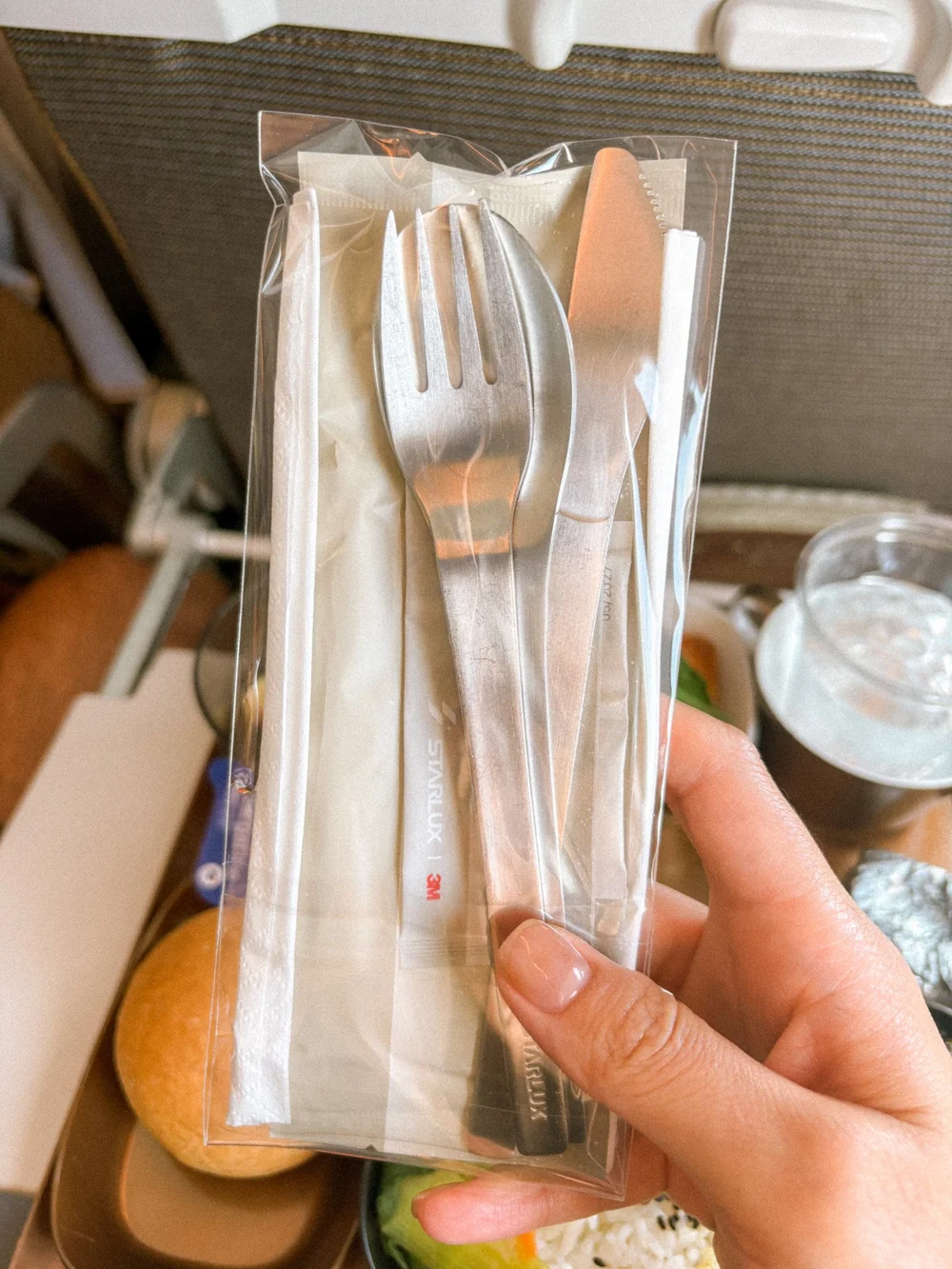 REVIEW: STARLUX Economy ⋮ EVERLASTYING