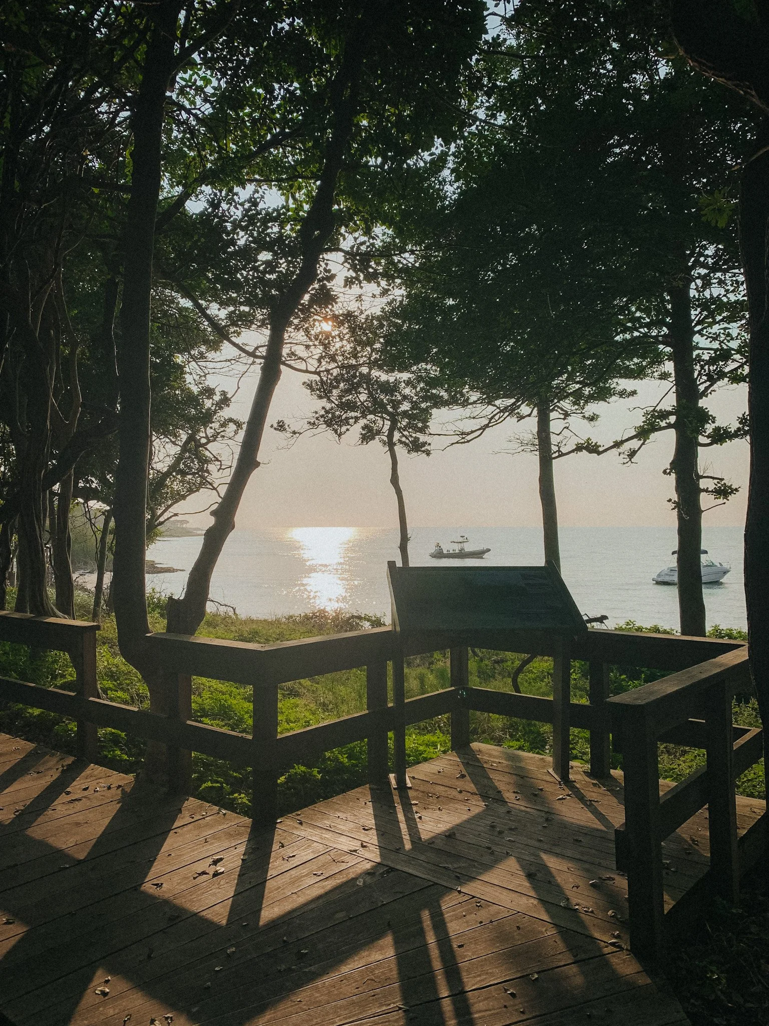 The Ultimate Fire Island Bucket List ⋮ EVERLASTYING
