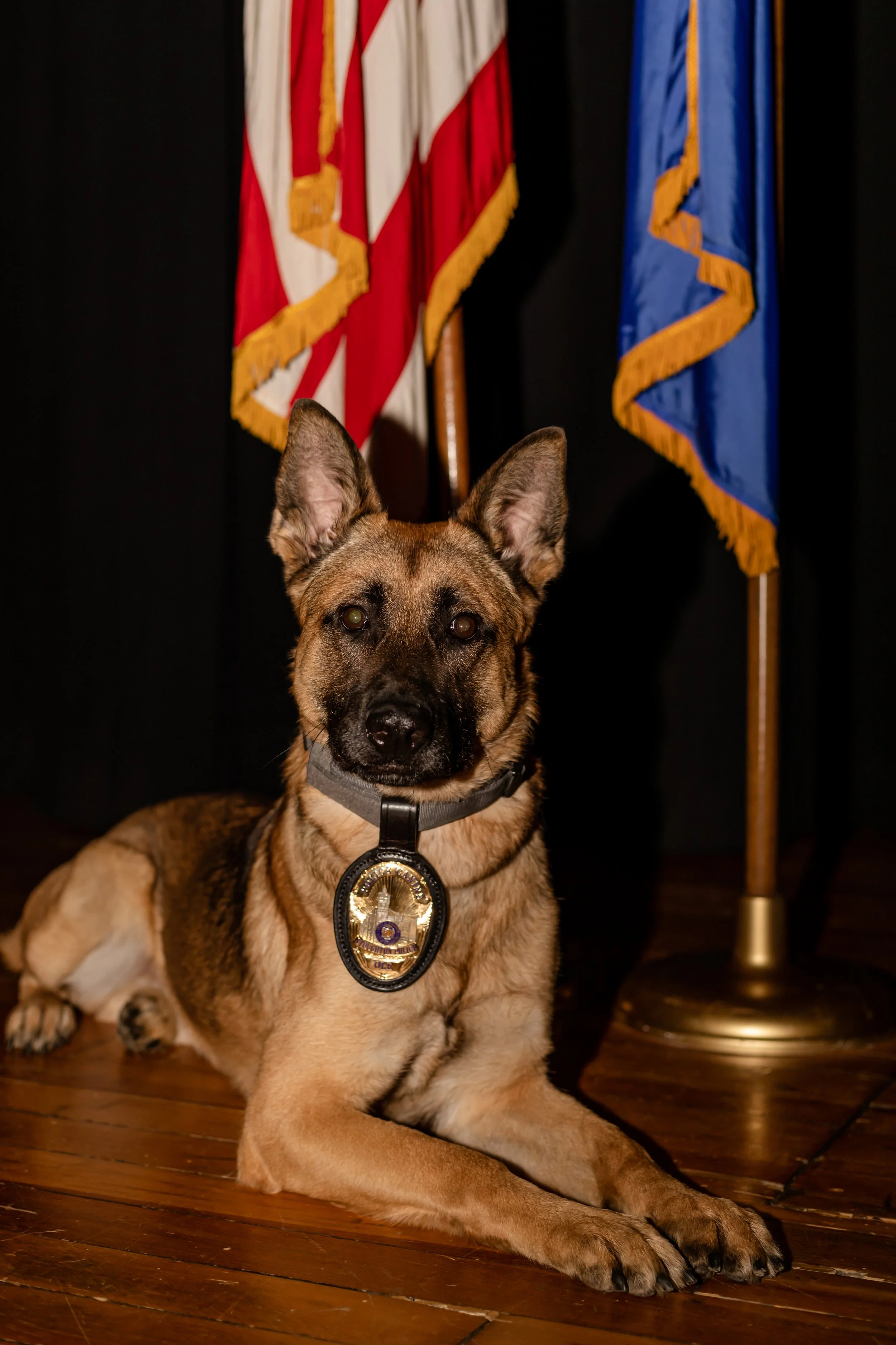 Staff — Stoughton Police