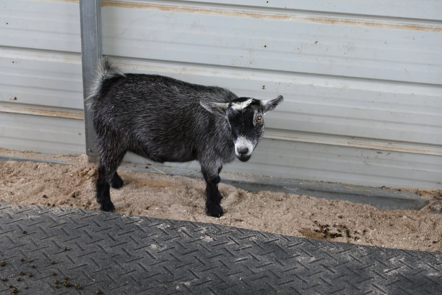 Home Front Heroes, Inc.