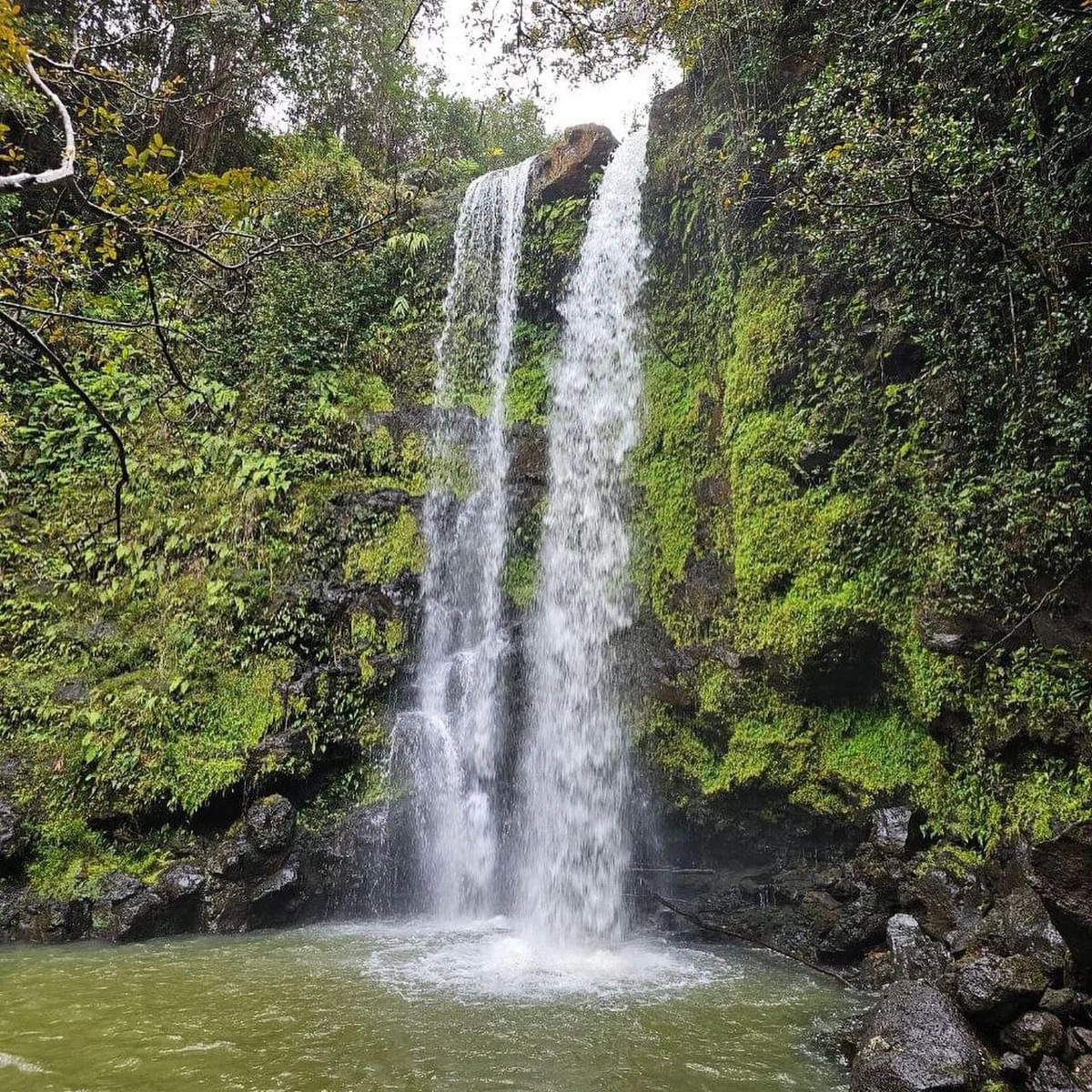 WORKSHOP SIGNUP — ECOHAB