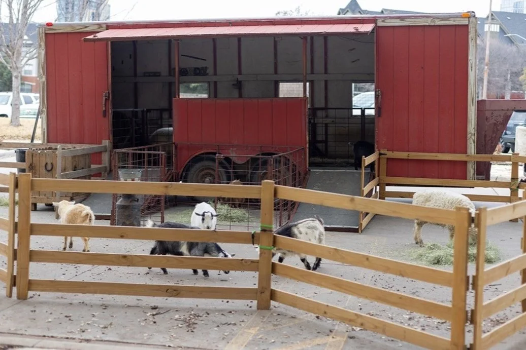 Travel to You Services — Country Critters Farm
